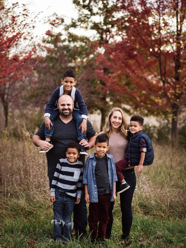 About - Lion Development Group